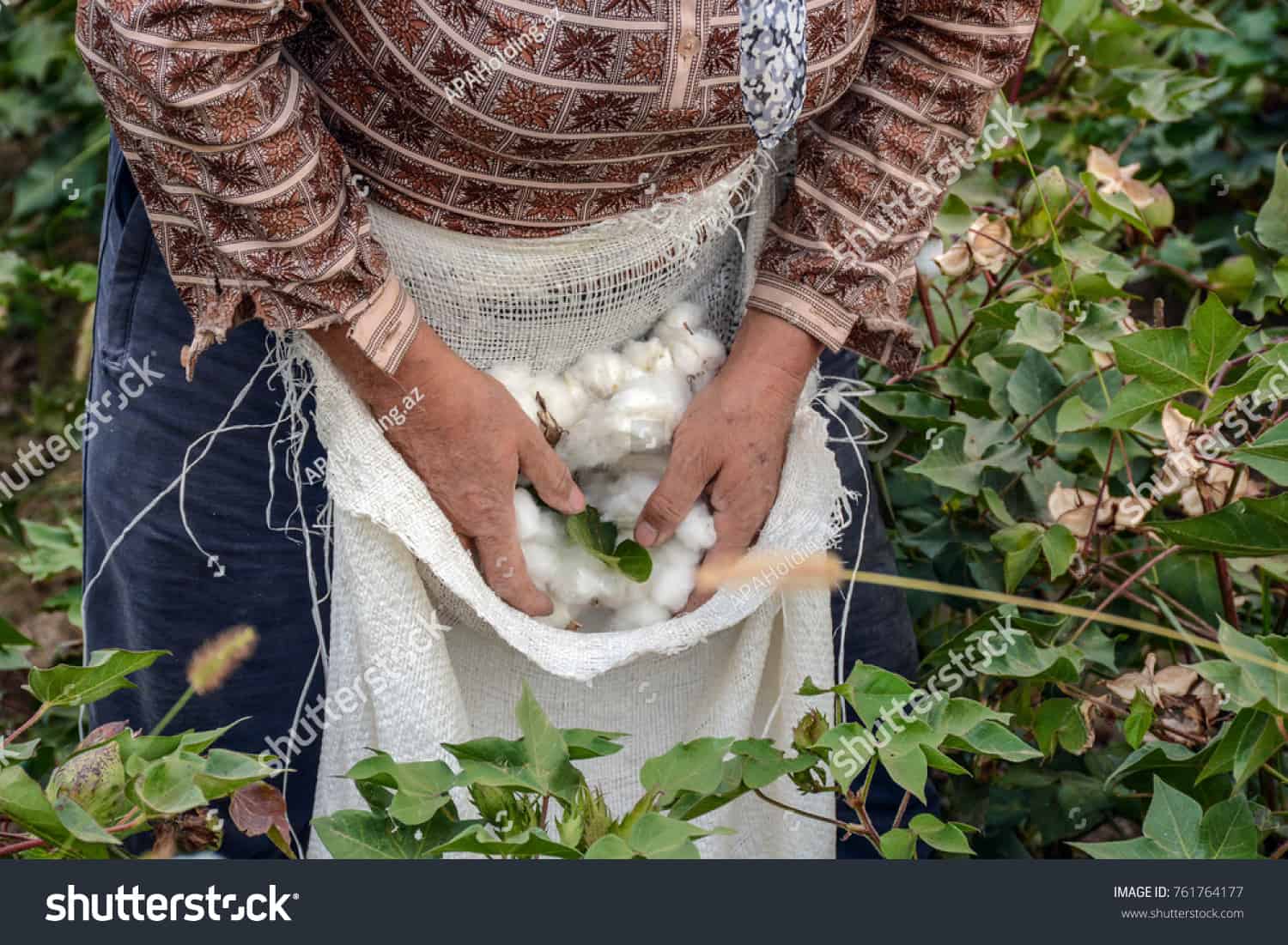 Fashion Resources Archive - Grain Sustainability